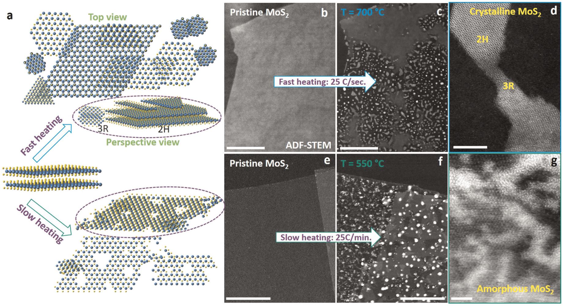 Controlled in-situ TEM heating experiments directly visualize ...