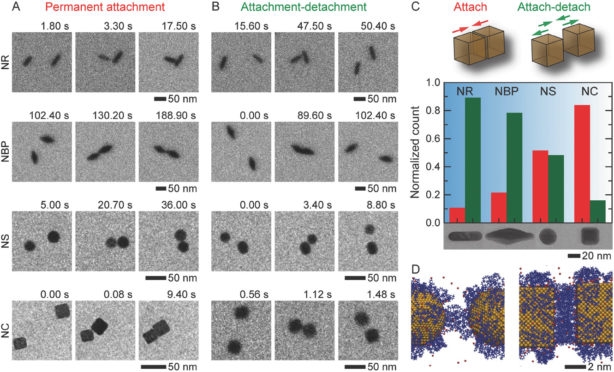 Self-assembly guided by shape and force | Hummingbird Scientific